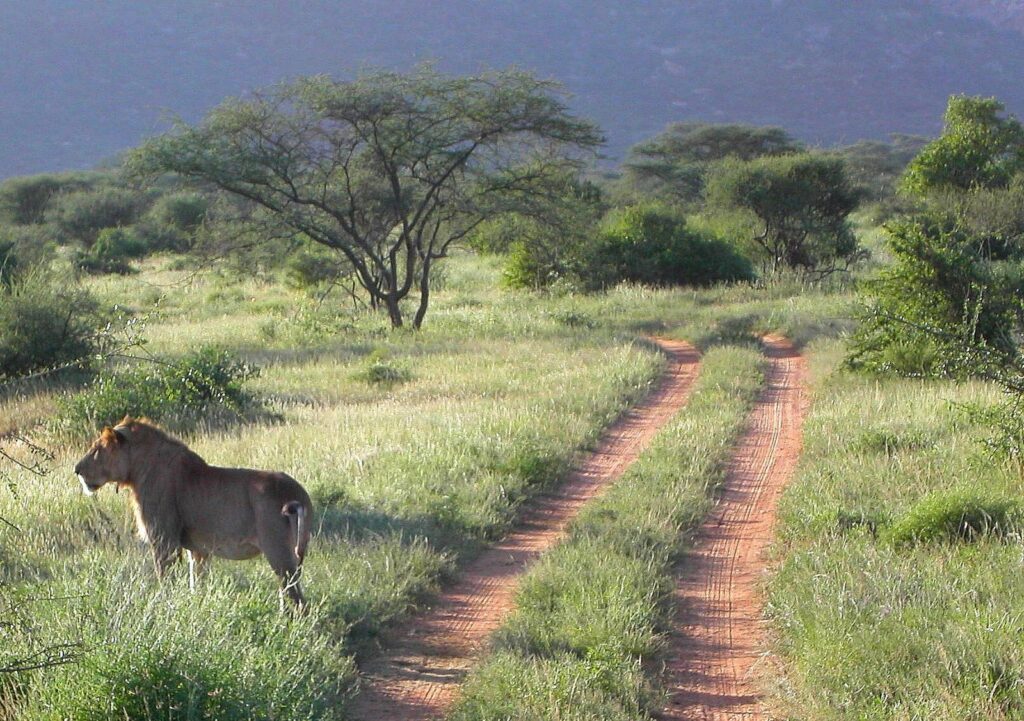 Top 8 hill stations in Kenya - Hilly Places